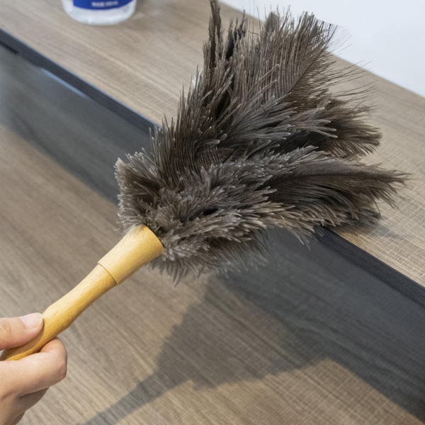 ARCLIBER Duster | Wayfair