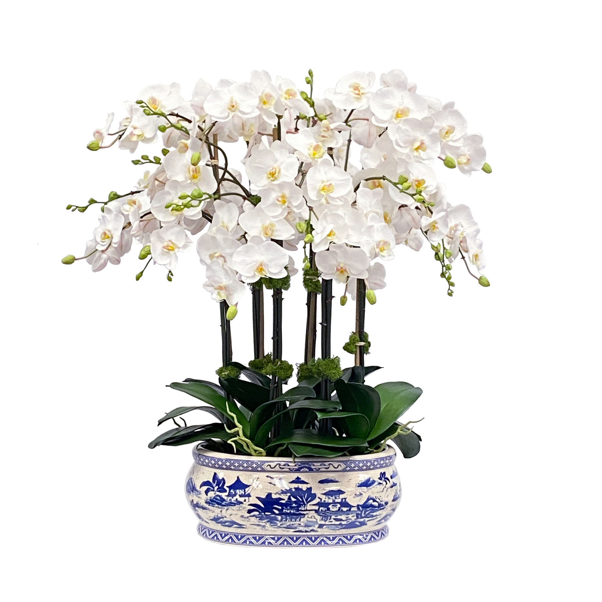 Winward Silks Orchid Stem in Pot | Wayfair
