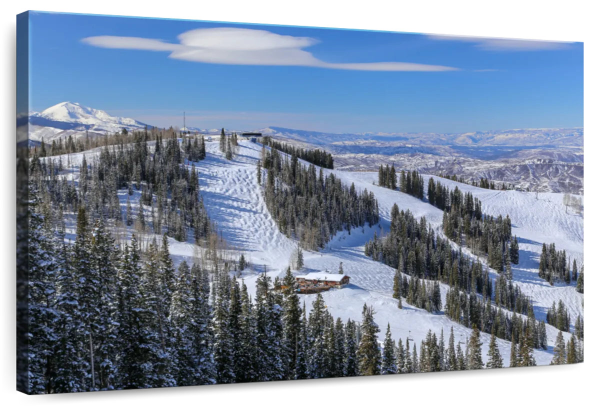 Millwood Pines Alvord Colorado Mountain Ski Resort | Wayfair