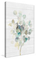 Ebern Designs " Eucalyptus III On Shiplap " | Wayfair