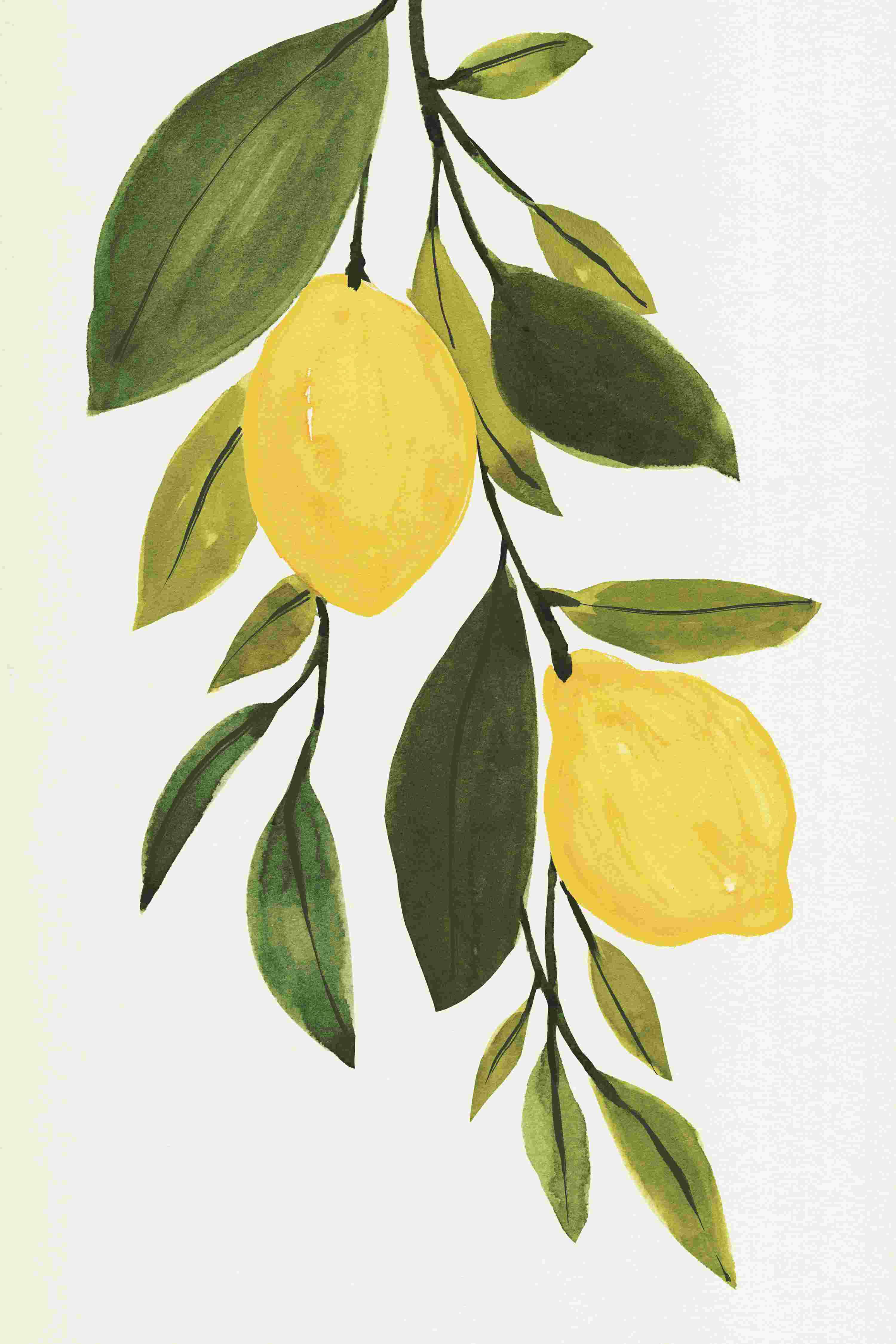 August Grove® Lemon Branch II - Wayfair Canada