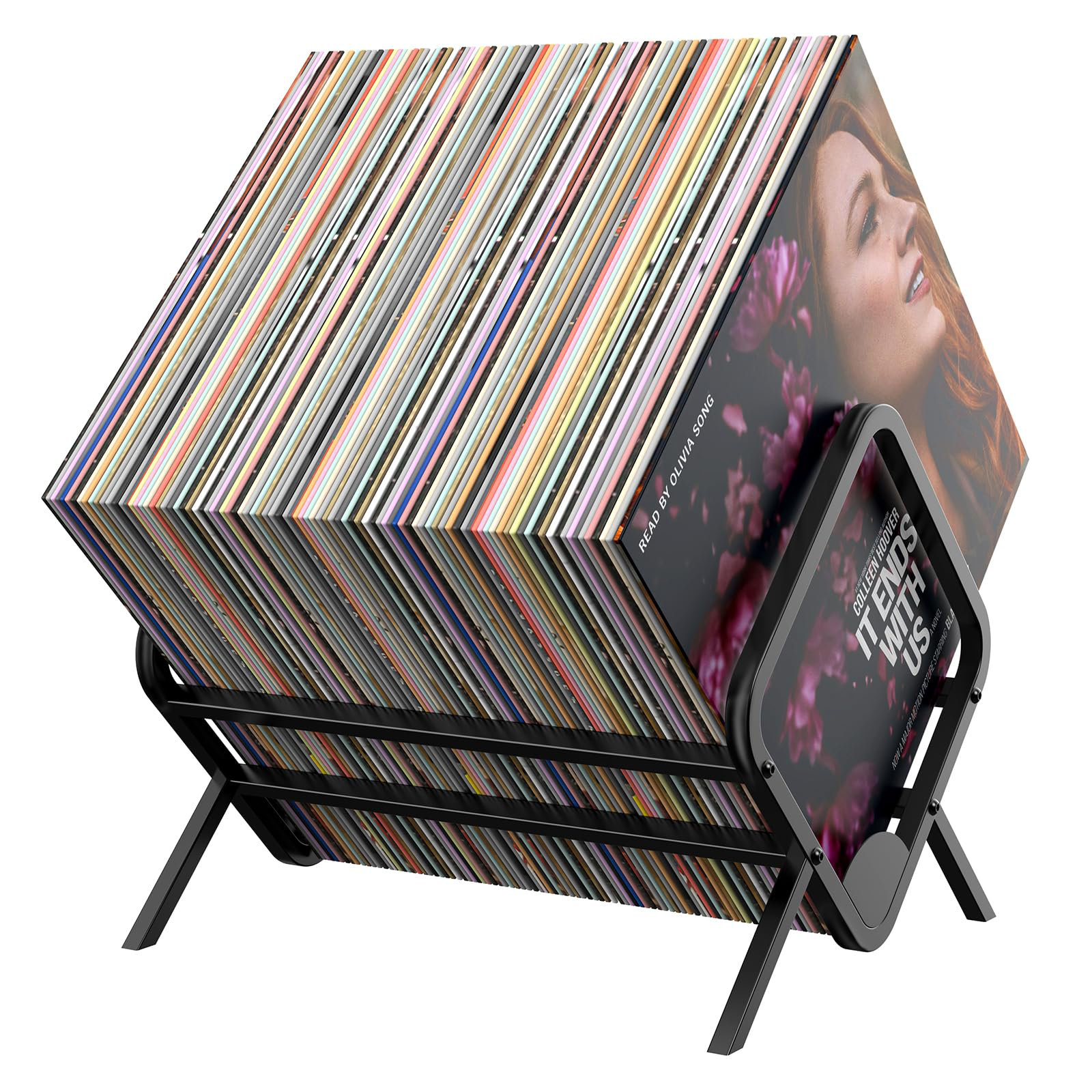 Latitude Run® Multi-Color Vinyl Record Storage Holder - Sturdy Metal ...