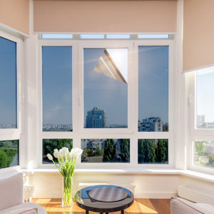 Symple Stuff Sun Control Static Window Decal & Reviews | Wayfair