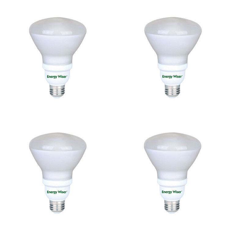 Bulbrite Industries 15 Watt R30 E26/Medium (Standard) Compact ...