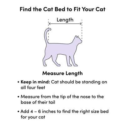 Kitty City Square Cat Bed & Reviews | Wayfair