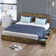 Millwood Pines Aahim Platform Storage Bed & Reviews | Wayfair