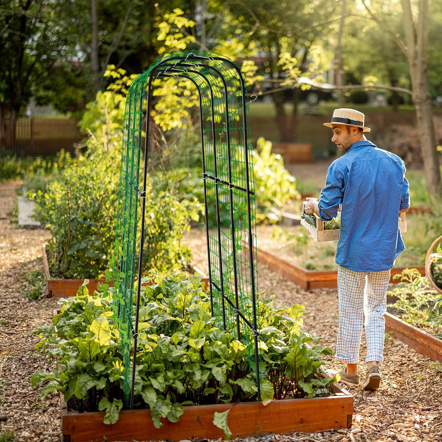 JTANGL Tall Garden Arch Trellis Cucumber Trellis for Climbing Plants ...