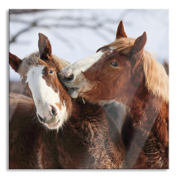 Brayden Studio Cuddling Horses - No Frame Print on Glass | Wayfair.co.uk