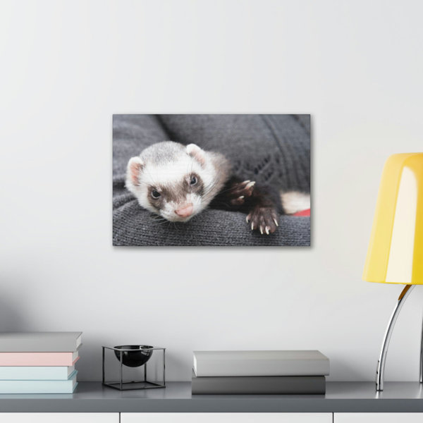 Ebern Designs Funny Weasel Silly Weasel Scene Inside Wall Art | Wayfair