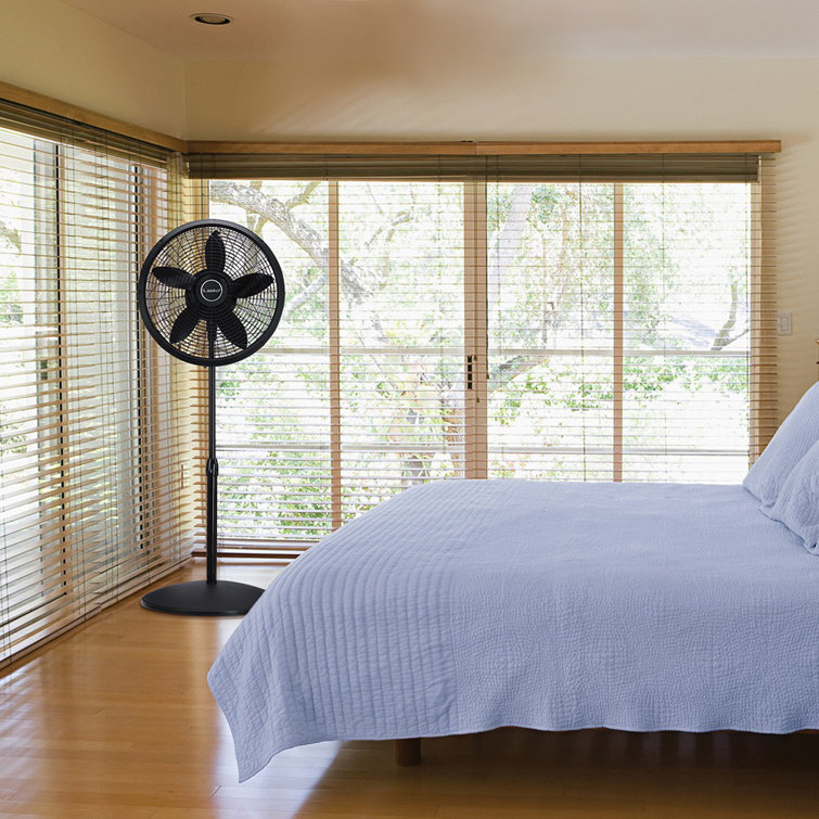 Lasko 18" Oscillating Pedestal/Standing Fan & Reviews | Wayfair
