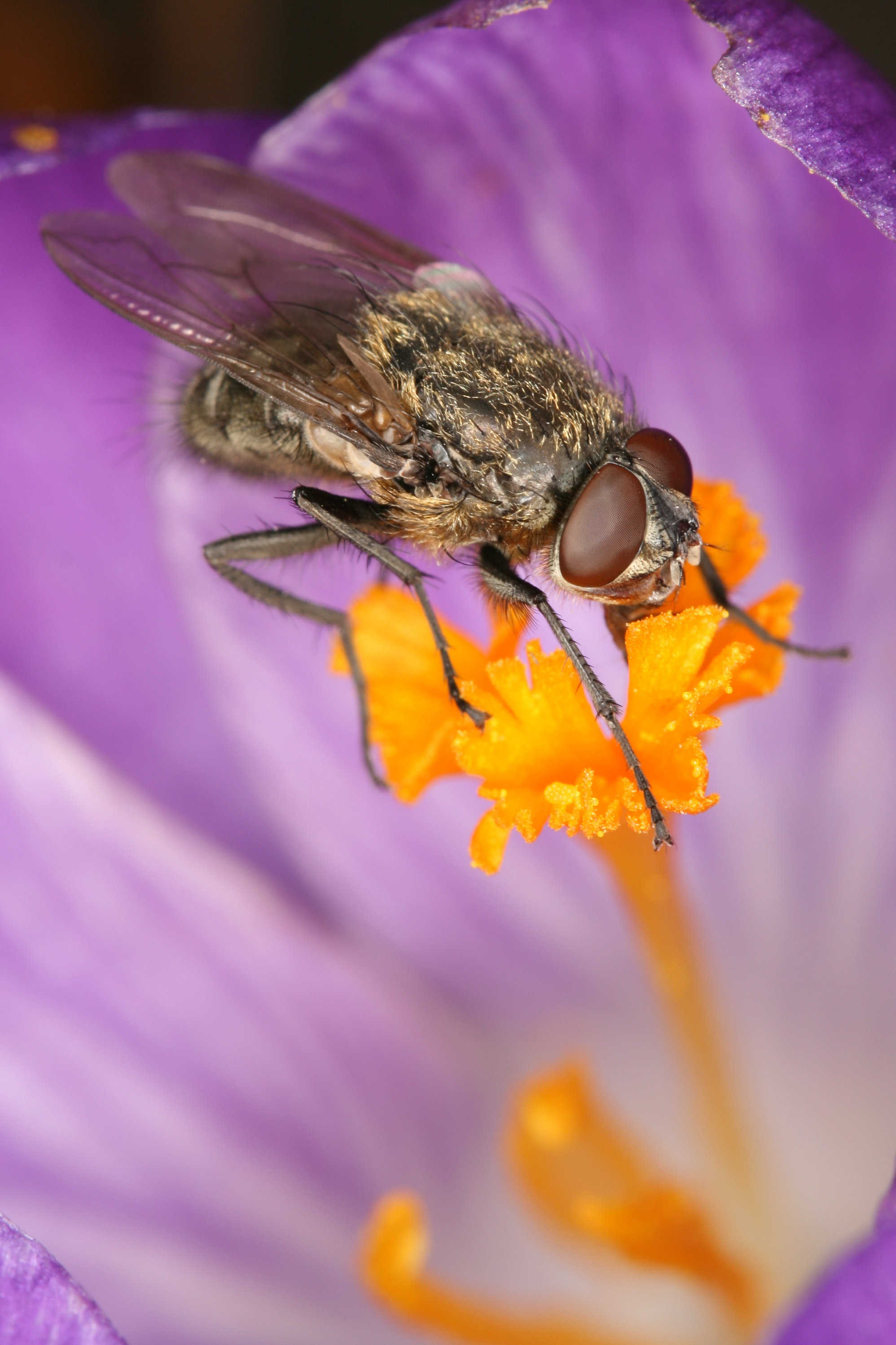 Latitude Run Retzlaff Fly by Zagorskid - Wrapped Canvas Photograph ...