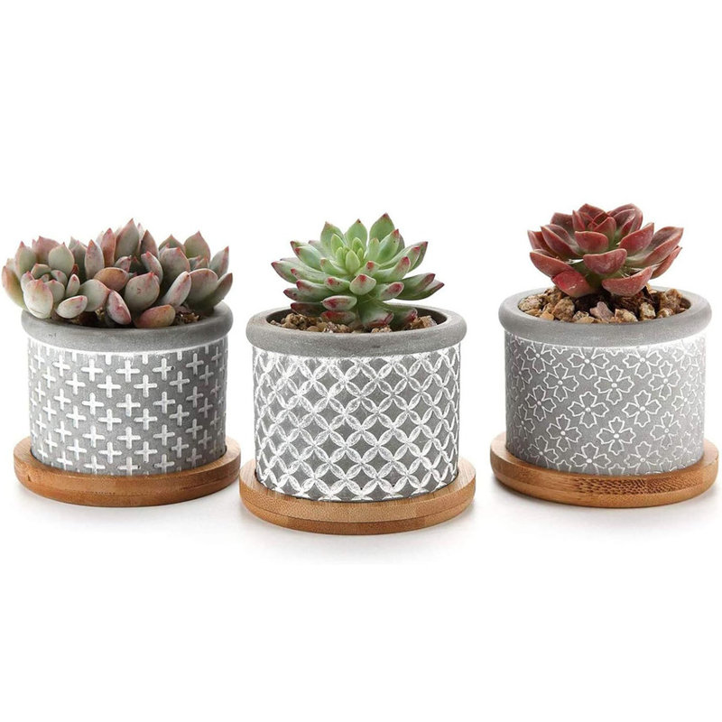 Lark Manor™ Condrey Pot Planter | Wayfair