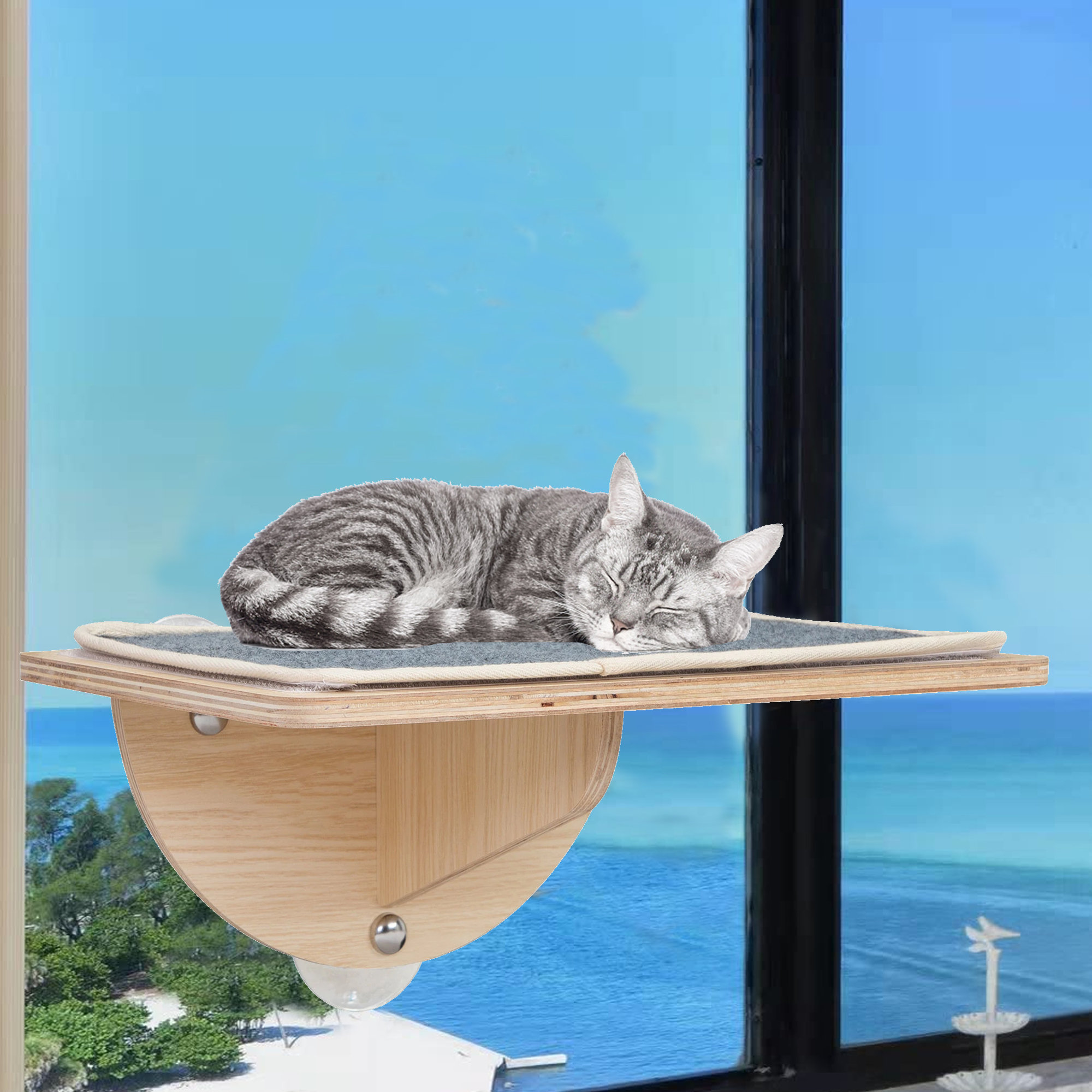 Tucker Murphy Pet™ Cat Window Perch Up To 44 Lb Holder For Small Cat ...