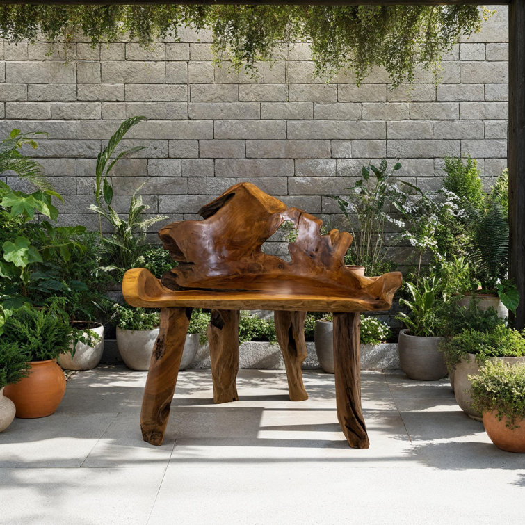 Alpen Home Burruss 70cm Teak Root Chair | Wayfair.co.uk