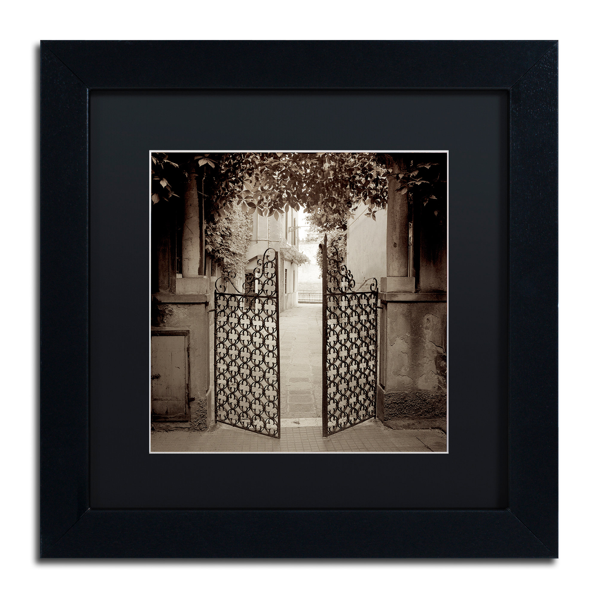 Ebern Designs Alan Blaustein 'Venezia V' Framed Photographic Print ...