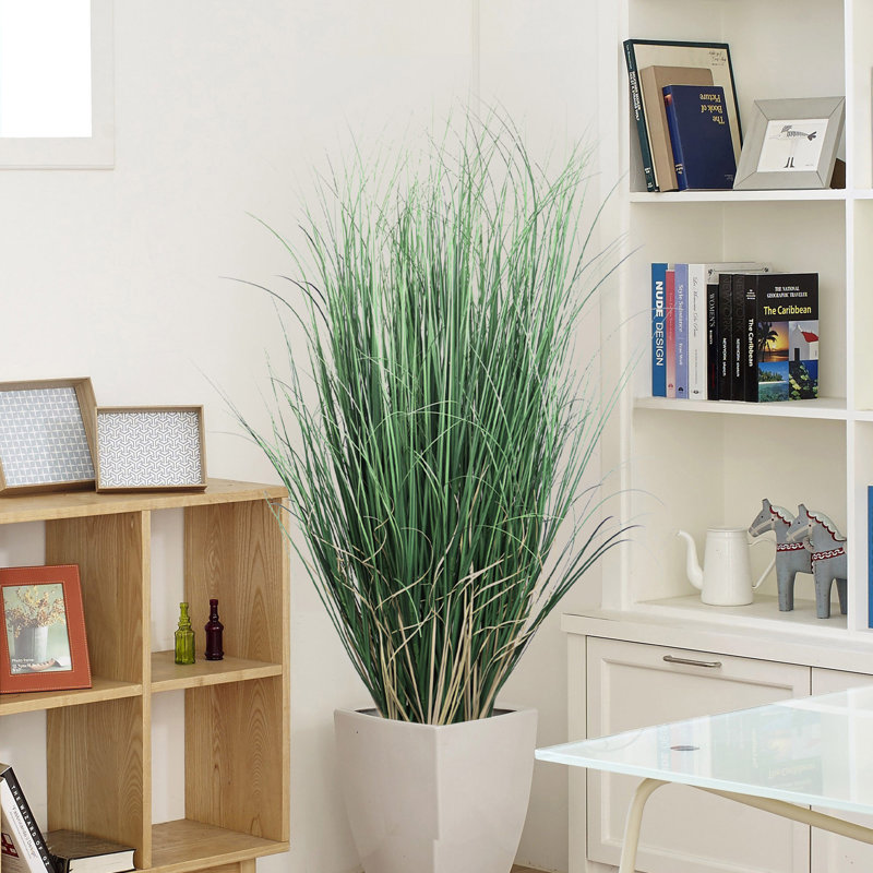 Primrue 4-foot Lifelike Curly Grass Plant - 1-piece - Elegant ...
