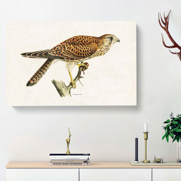 East Urban Home Common Kestrel by Von Wright - Wrapped Canvas Painting ...