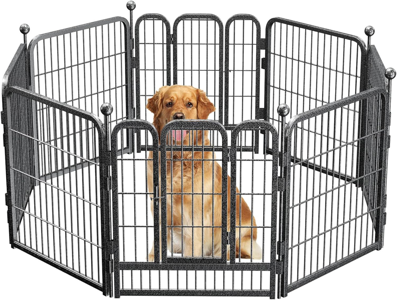 Hangzhou Shaozhe Technology Co., LTD Dog Pet Barrier & Reviews | Wayfair