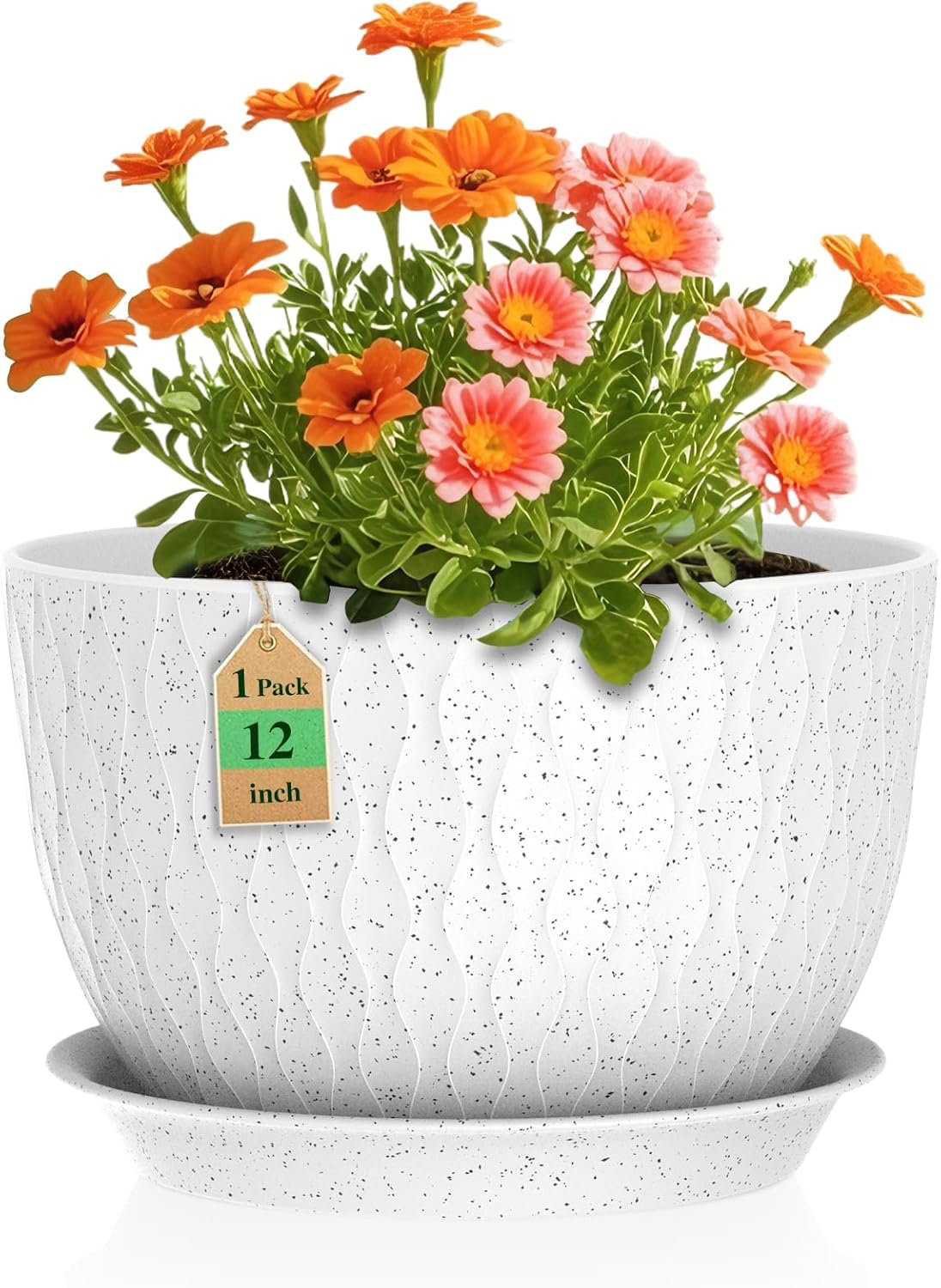 Dakota Fields Plant Pots for Indoor or Outdoor Plants, with Drainage ...