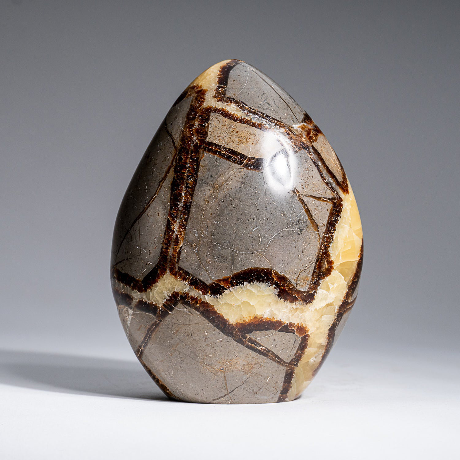 Astro Gallery of Gems Polished Septarian Freeform from Madagascar (1.7 ...