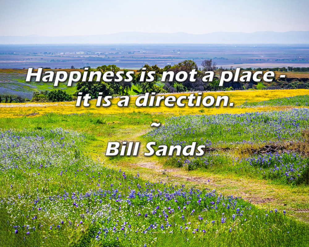 Ophelia & Co. Bill Sands Quote: Happiness is not a place - it is a direction. | Wayfair