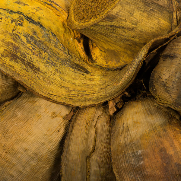 Primrue All Natural Star Pod, Extra Large, Dried 6" Star Pod, Dried ...