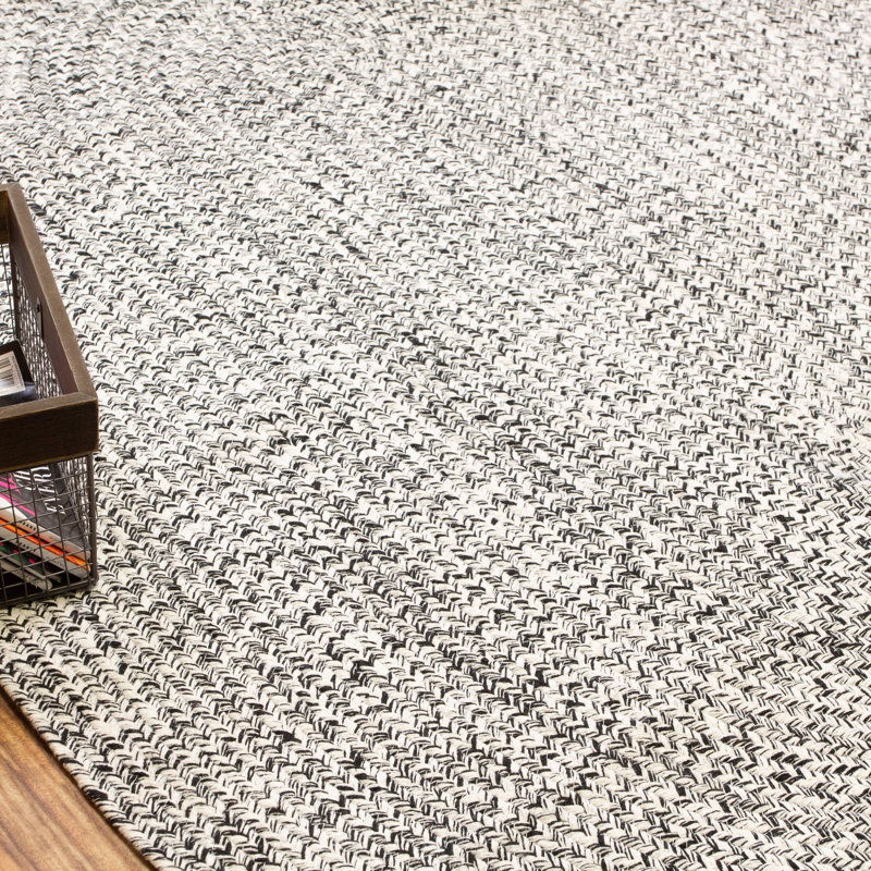 Red Barrel Studio® Ociuso Braided Black and White FarmhouseArea Rug ...