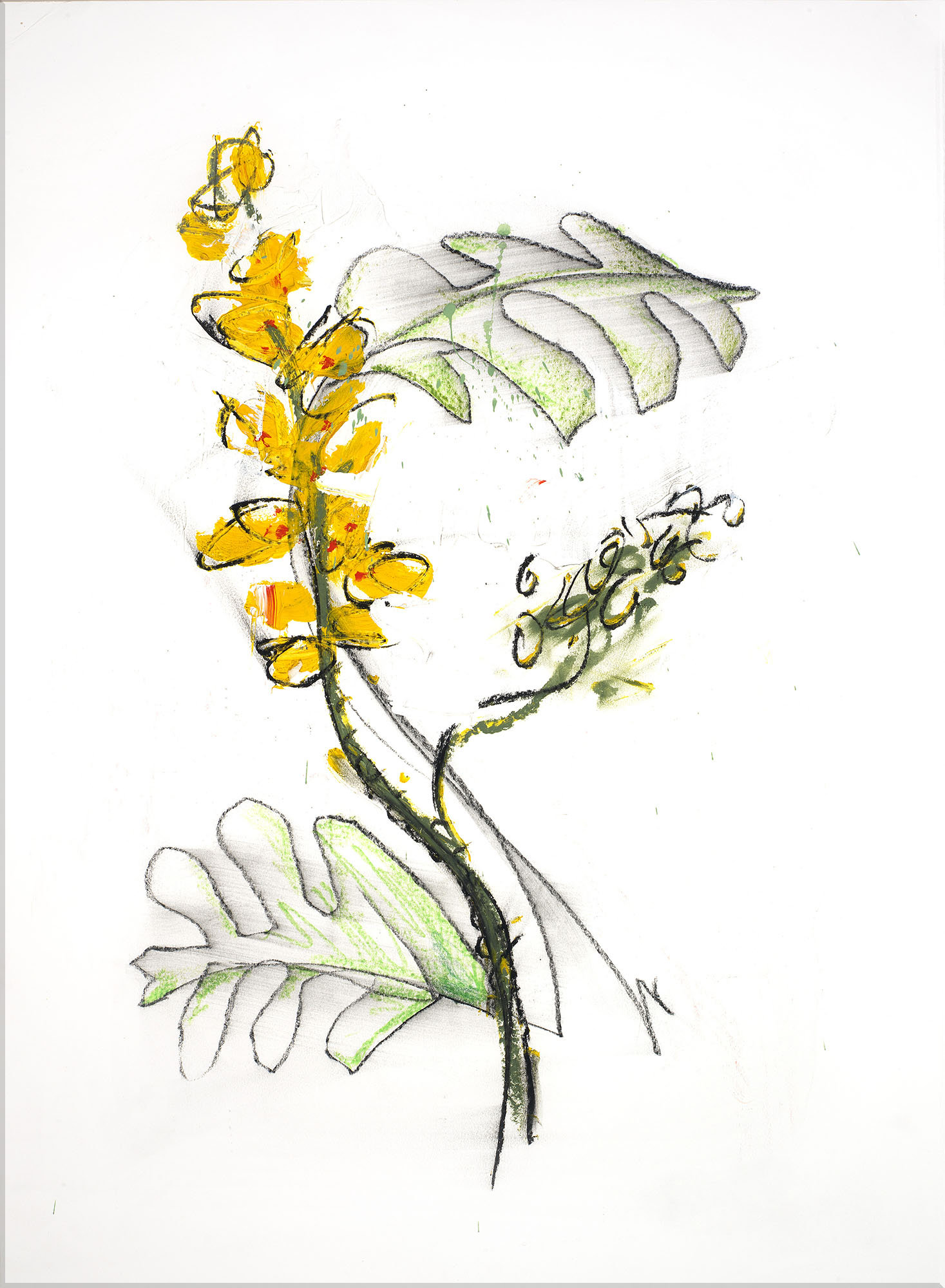 RFA Decor Leaf and Flower 3 by Robert Robinson - Wrapped Canvas ...