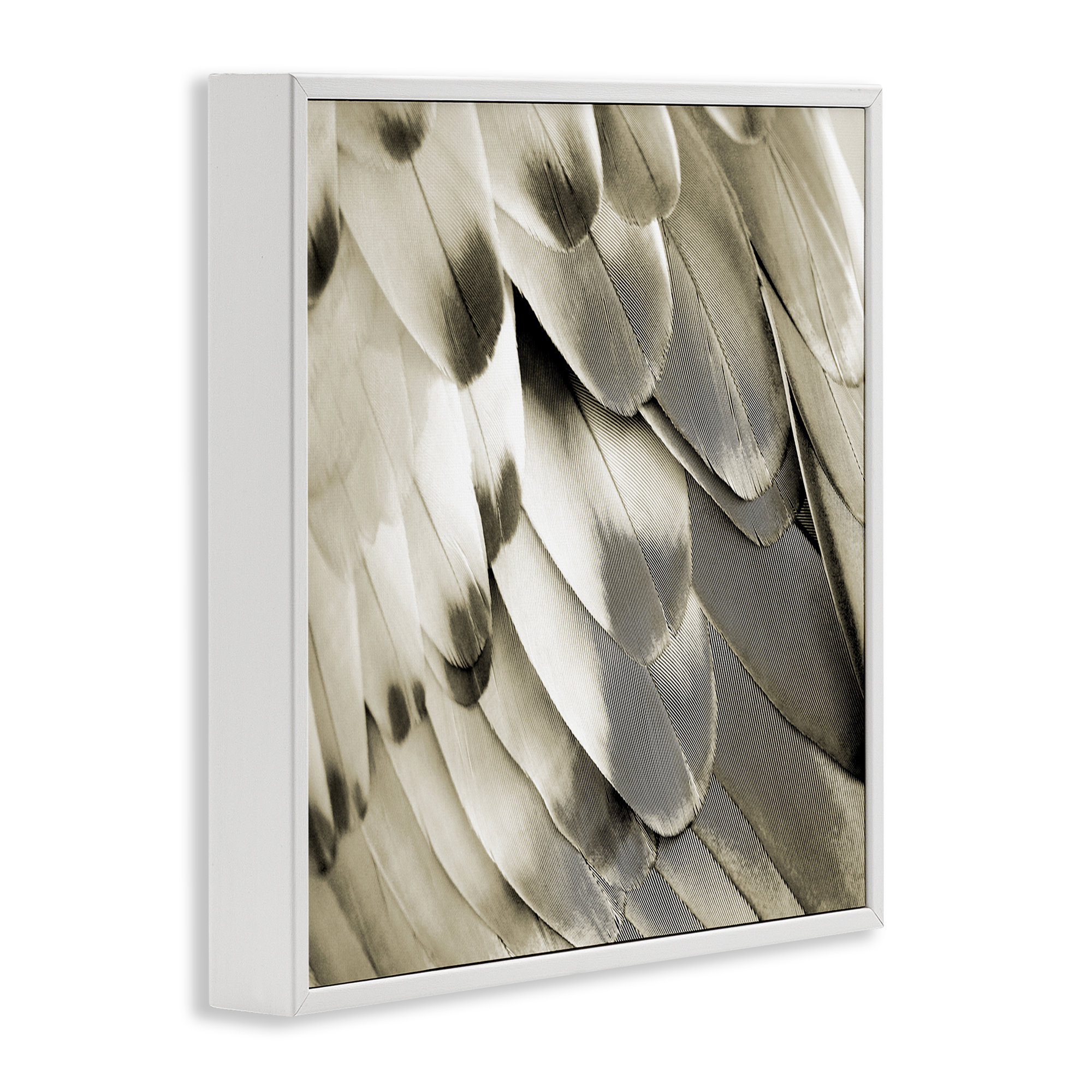 Stupell Industries Sleek Wing Feathers White Framed Giclee Art by Julia ...