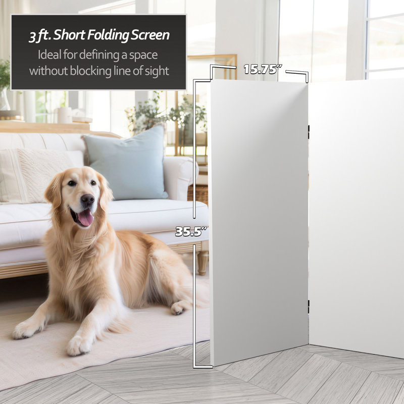 Ebern Designs Amanveer 3 Ft. Short Canvas Folding Screen & Reviews ...