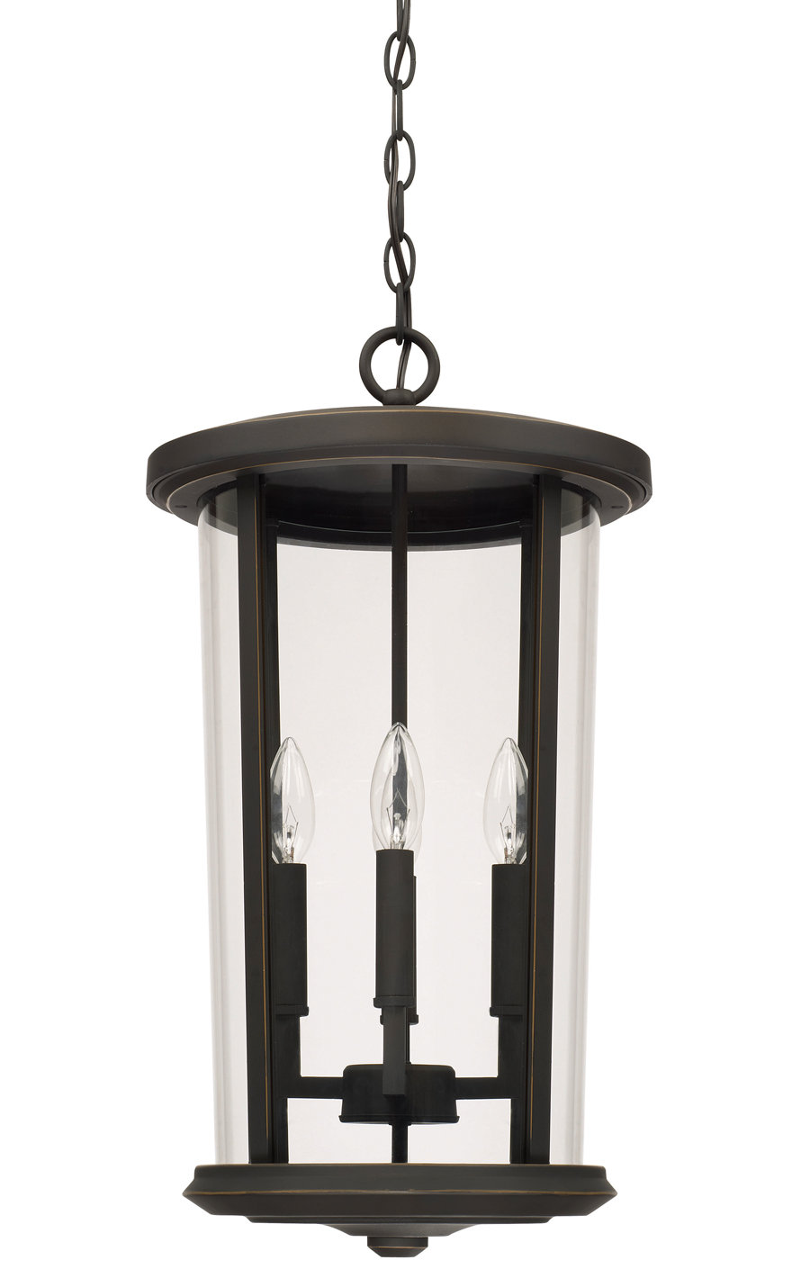 Lark Manor Ashyia 4 -Bulb 21.75" H Outdoor Hanging Lantern & Reviews ...