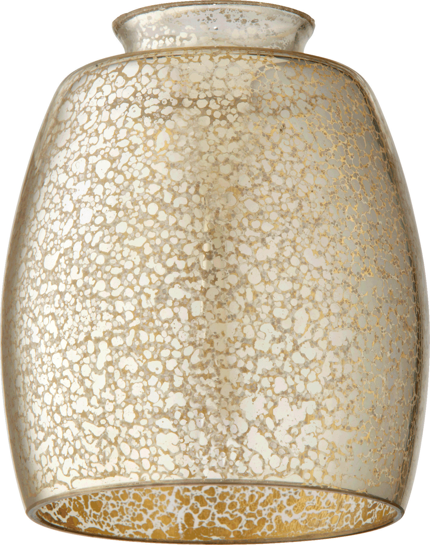 Laurel Foundry Modern Farmhouse 5.5" H Glass Oval Glass Lamp Shade ...