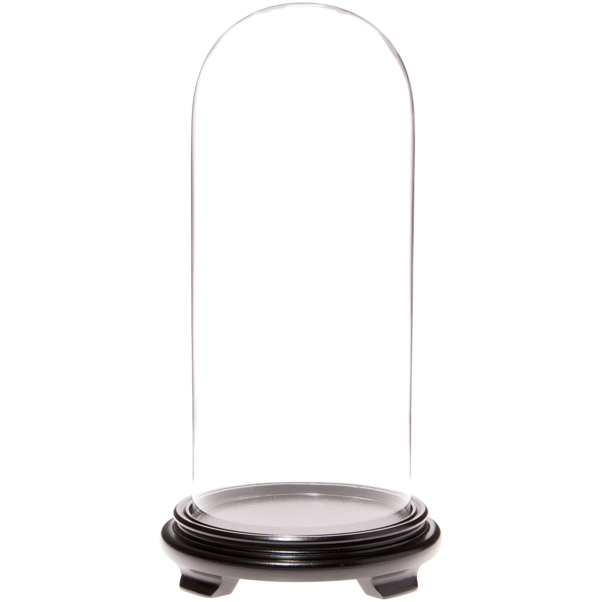 Red Barrel Studio® Keiarra 5.5" x 13" Glass Display Dome Cloche | Wayfair