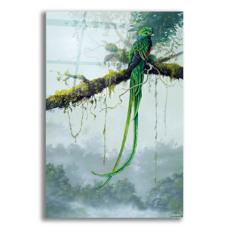 Bay Isle Home Resplendent Quetzal On Plastic / Acrylic by Harro Maass ...