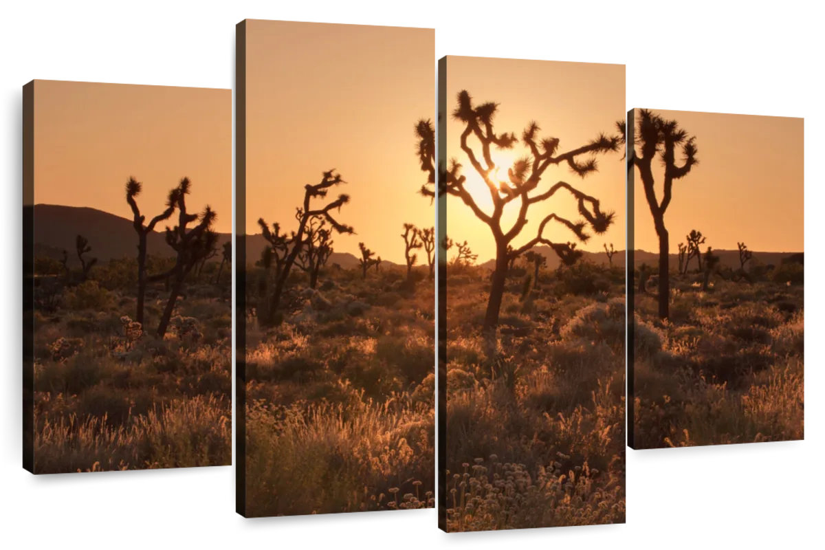 Elephant Stock Sepia Joshua Tree | Wayfair