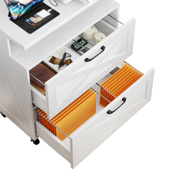 Wade Logan Branasia Wood 2 Filing Drawers Cabinet with 4 Hanging File ...