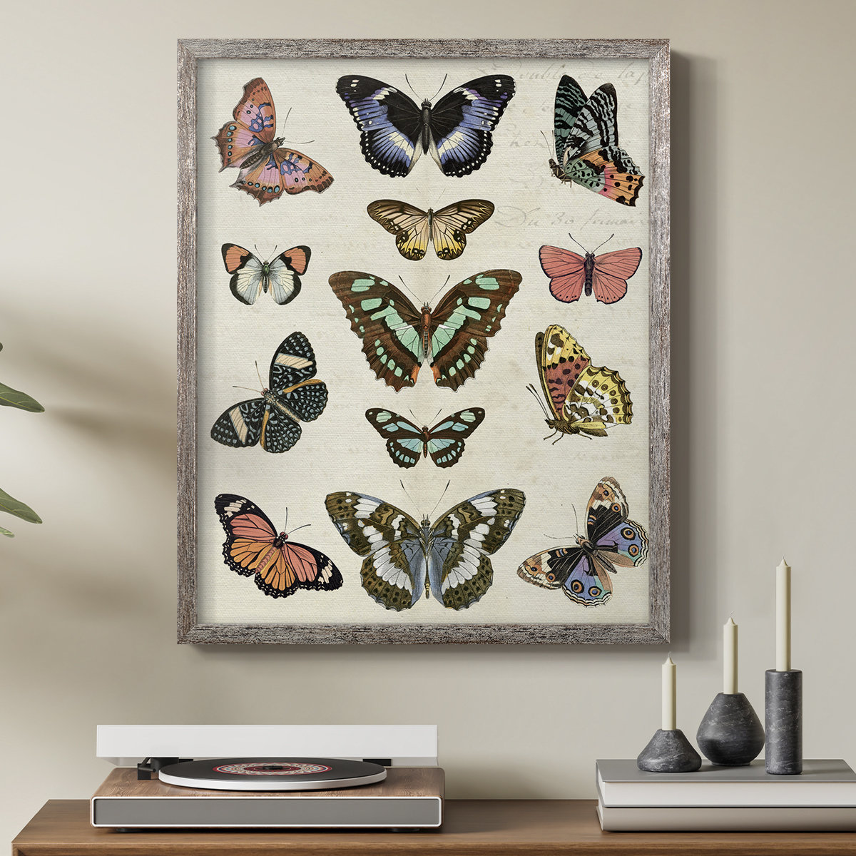Ophelia & Co. Flutterbys I Framed Print - Solid Wood - Wayfair Canada