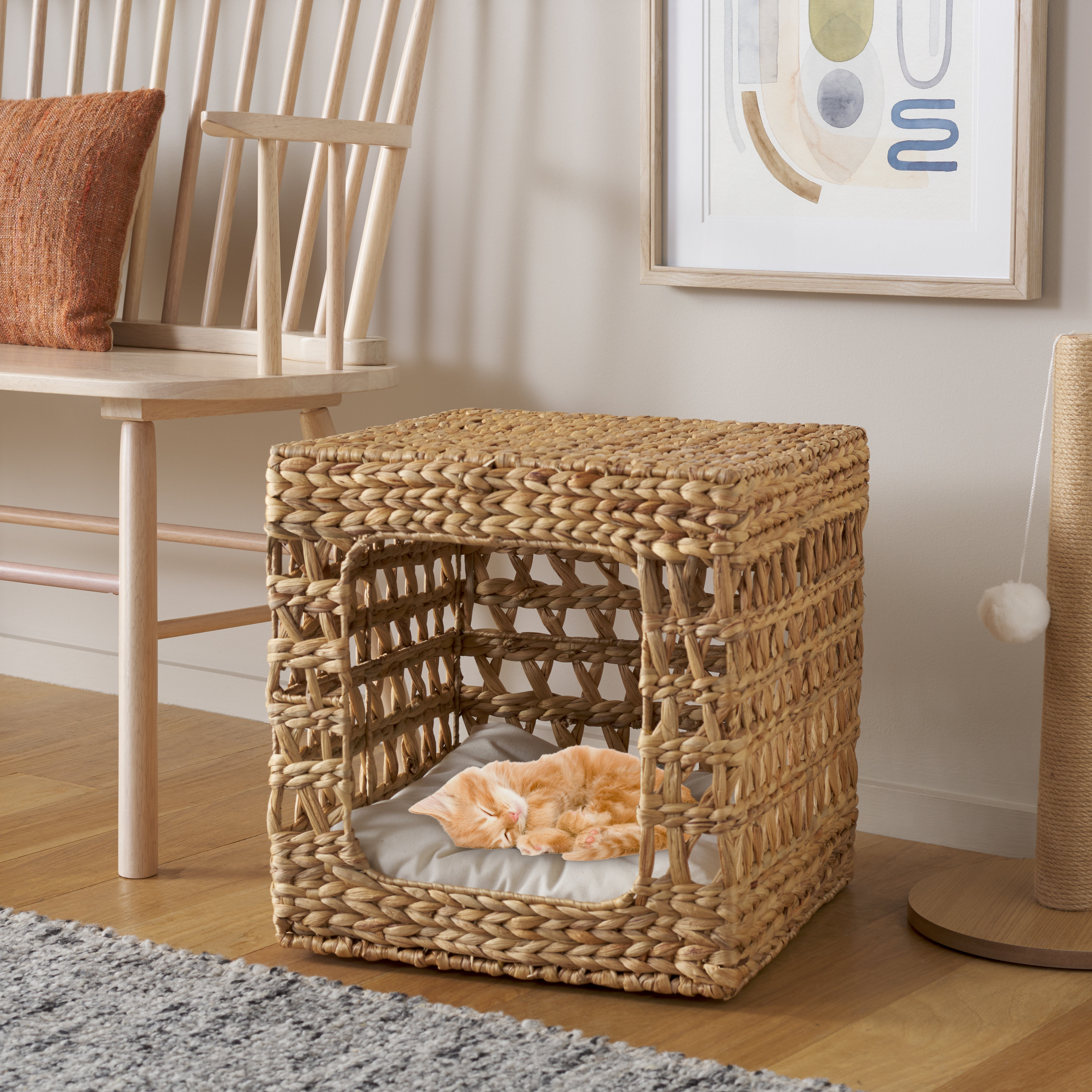 Archie & Oscar™ Ivie Pet Bed & Reviews | Wayfair