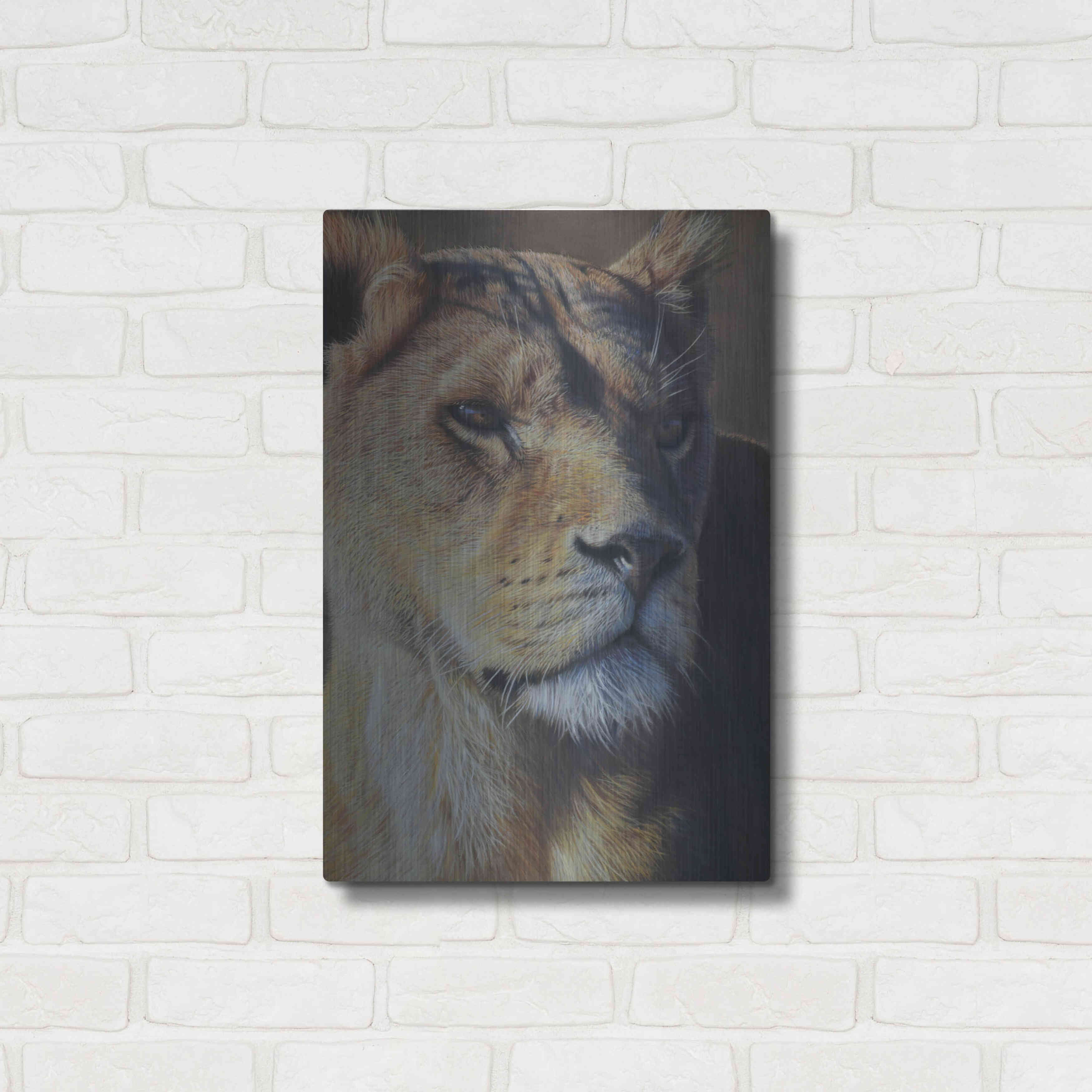 Bungalow Rose 'Nia' By Sam Dolman, Metal Wall Art | Wayfair