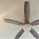 Red Barrel Studio® 52" Segars 5 - Blade Standard Ceiling Fan with Light ...