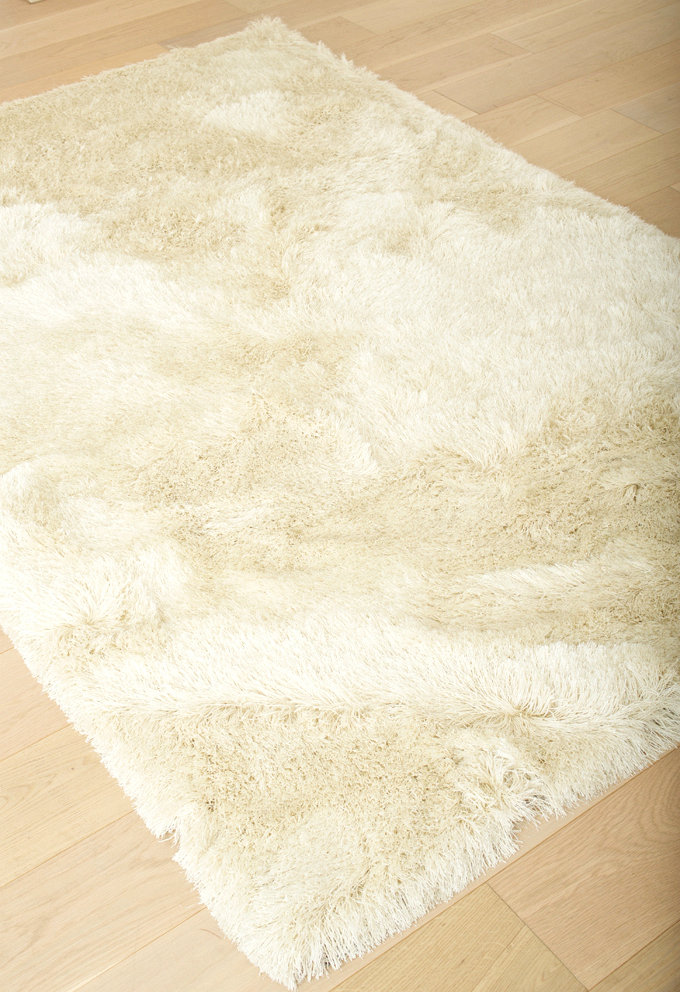 Everly Quinn Shag Area Rug For Bedroom & Living Room | Wayfair