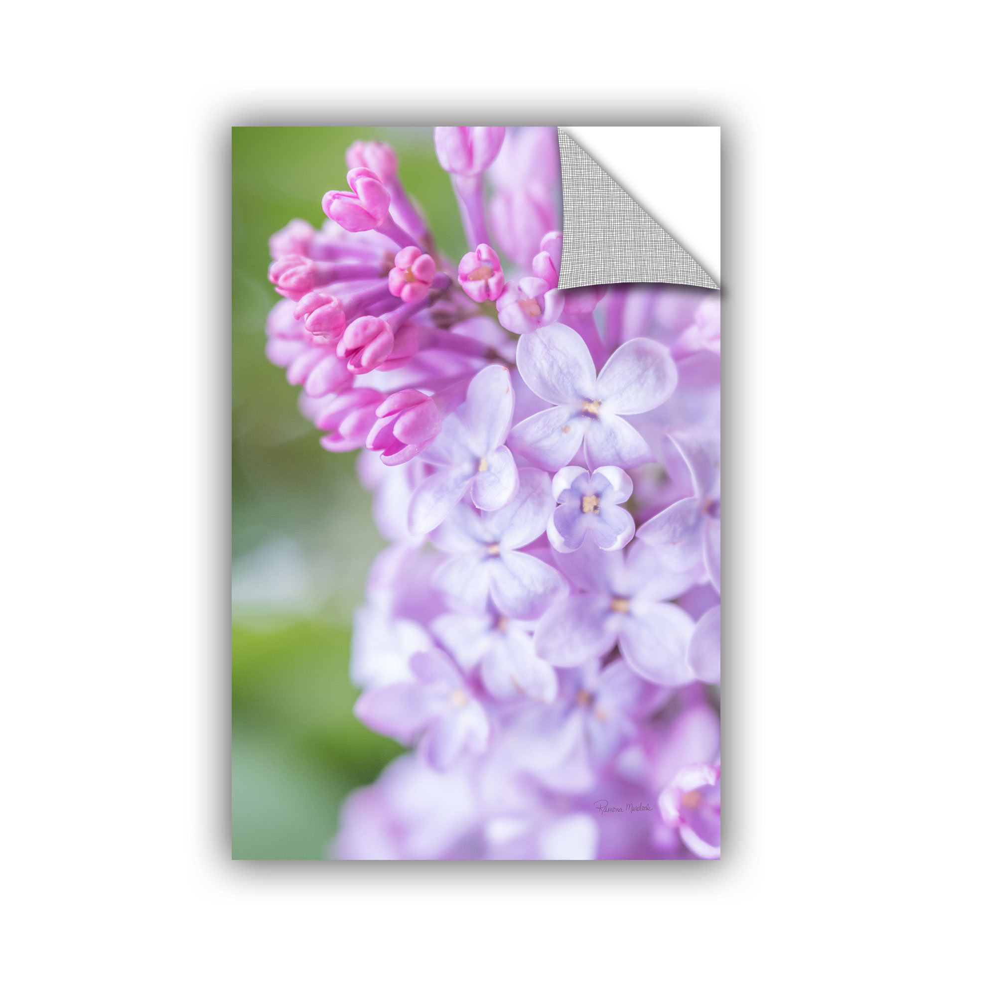 ArtWall Spring Lilacs II' by Ramona Murdock Removable Wall Decal | Wayfair