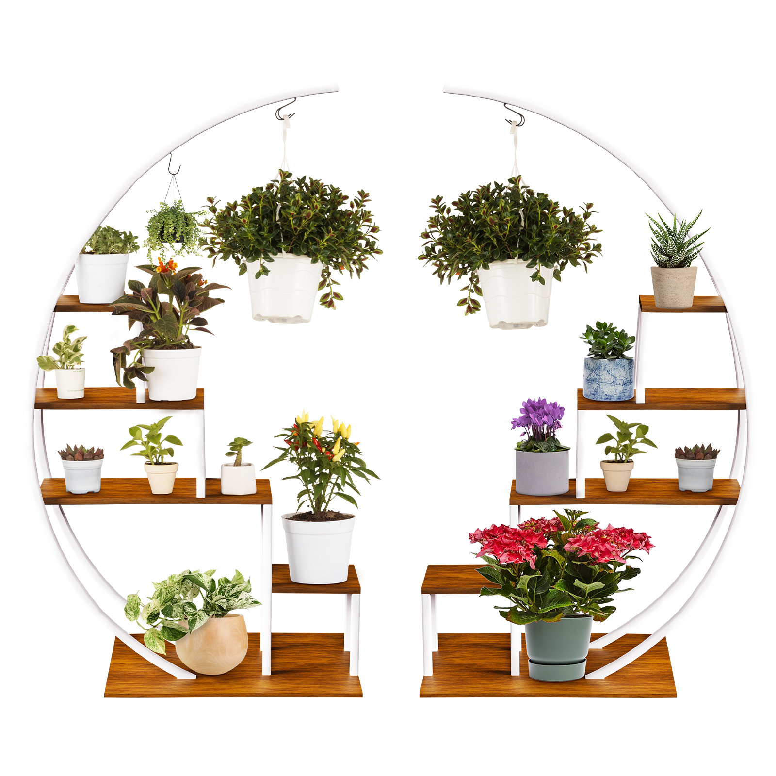 Arlmont & Co. Polin Metal Plant Stand C Shape 5 tier - 1pcs & Reviews ...