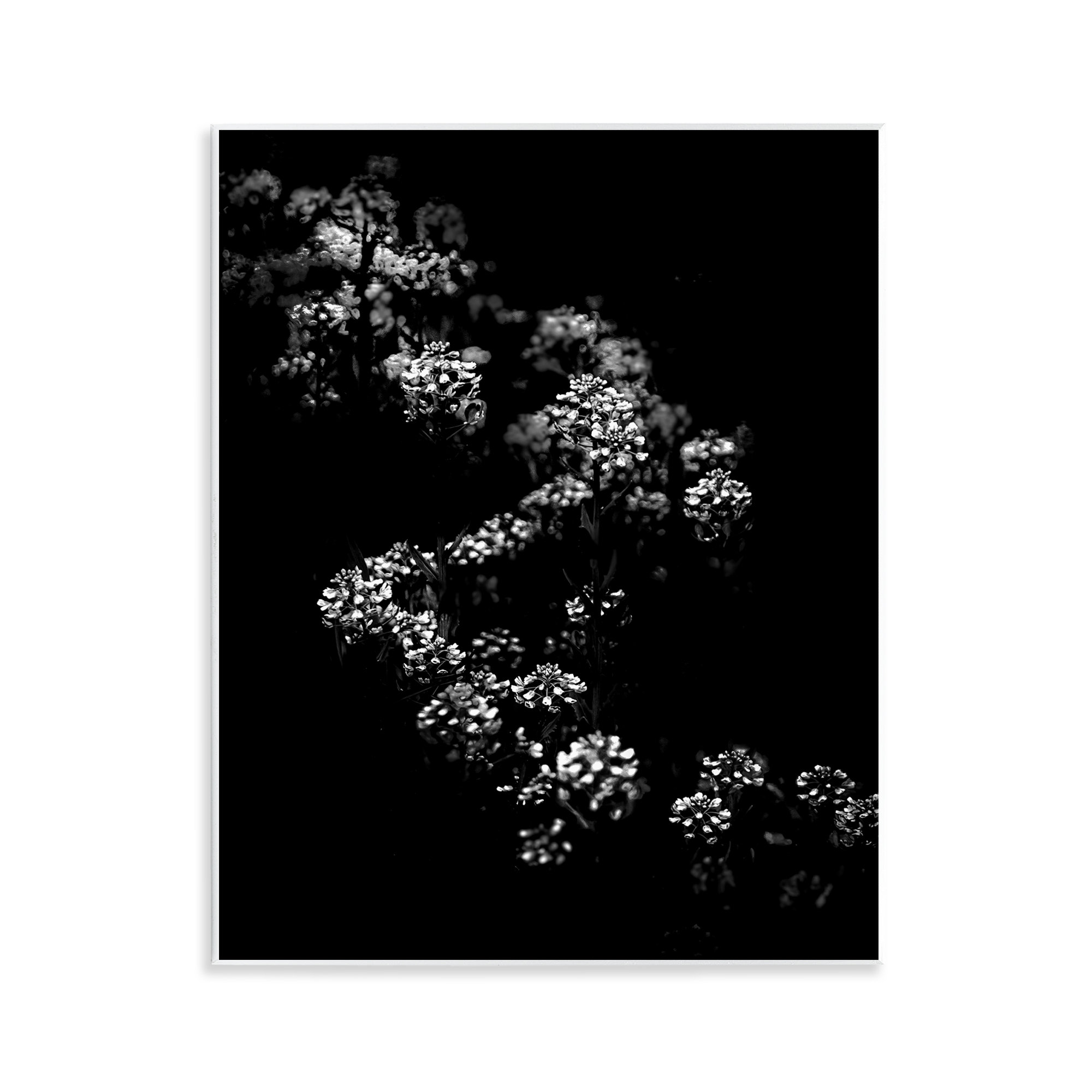 Dakota Fields Curved Blossom Line Wall Plaque Art by Brian Carson | Wayfair
