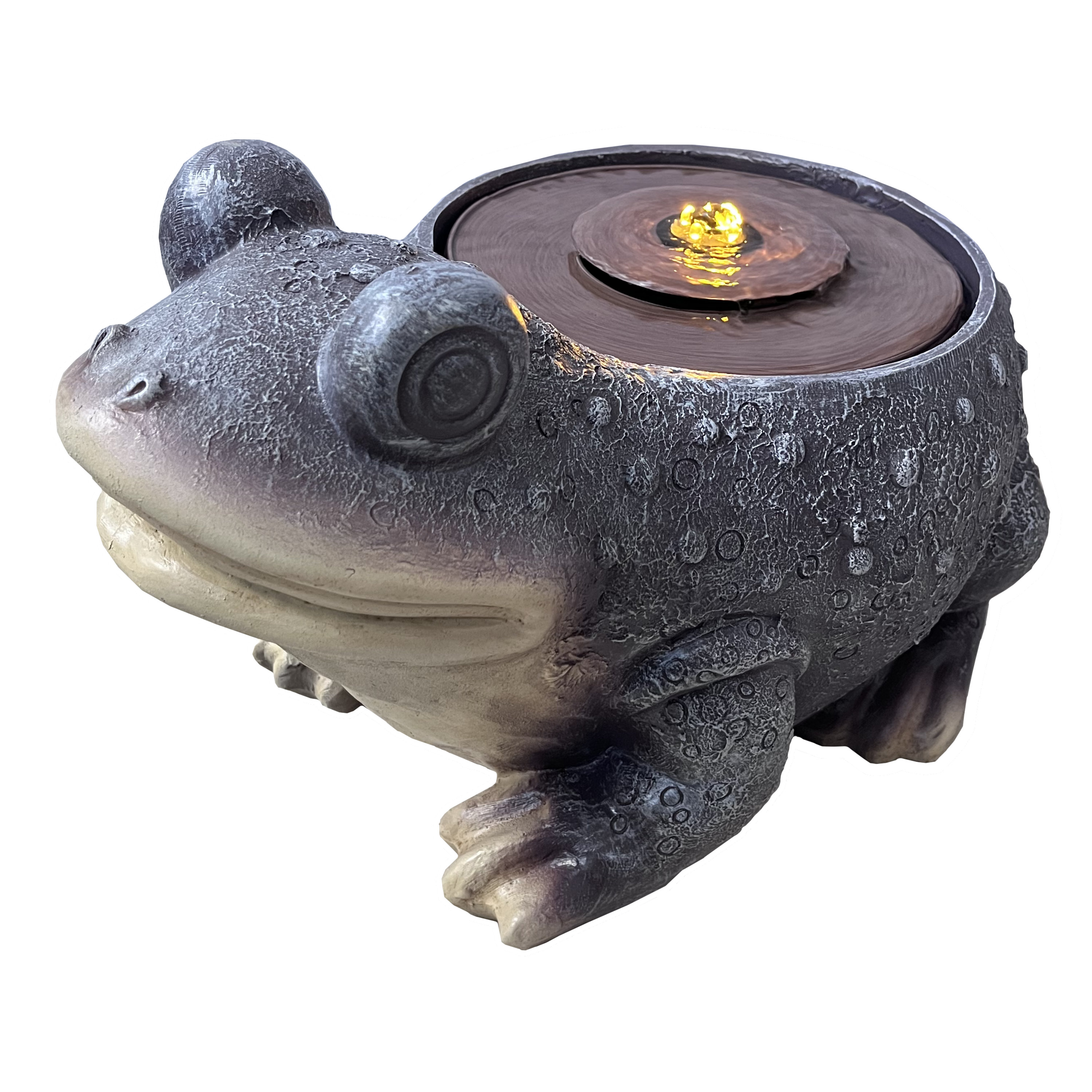 Lark Manor Bubbling Frog Fountain with Energy-efficient Pump and LED ...