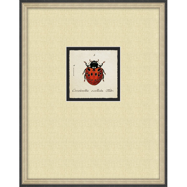 Wendover Art Group Lady Bug Lady Bug 1 Framed On Paper Print | Wayfair