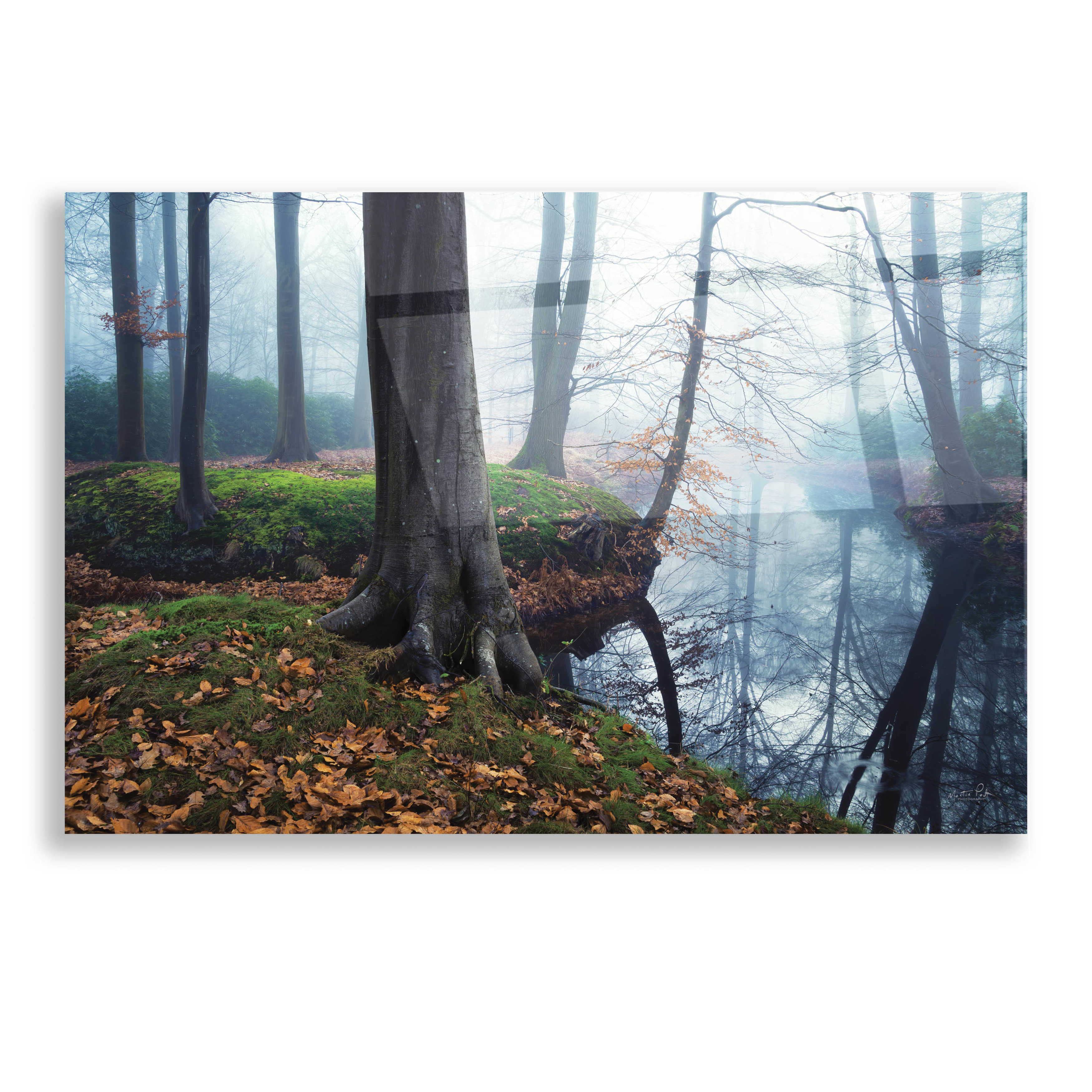 Millwood Pines Creepy outside World by Martin Podt - Unframed Print ...