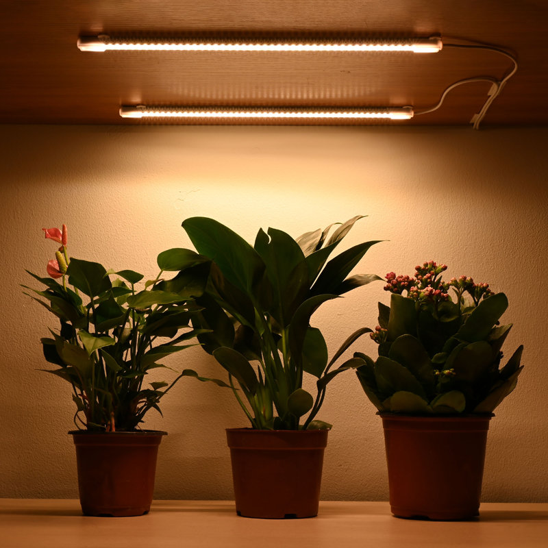 Arlmont & Co. Braely LED Grow Light & Reviews | Wayfair