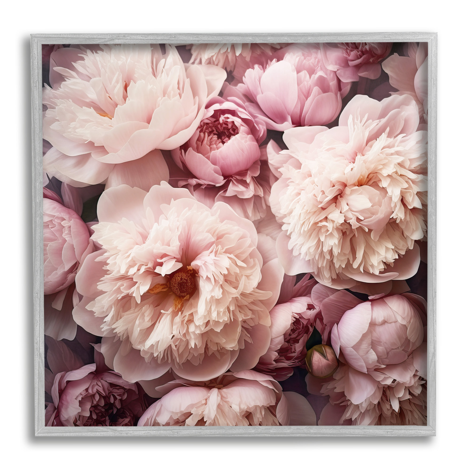 Stupell Industries Az-499-Framed Mixed Pink Floral Photography On ...