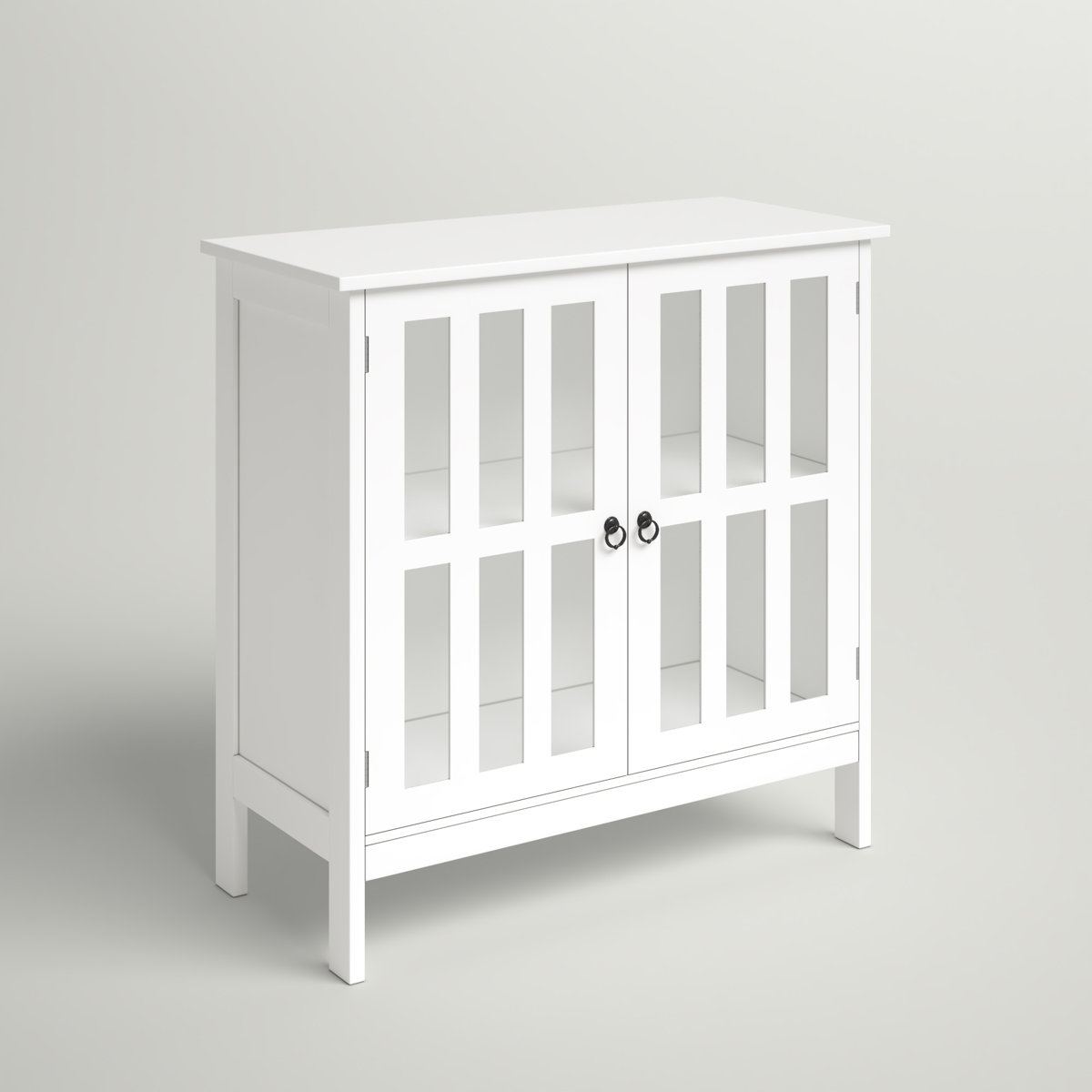 Sand & Stable™ Nia 2 - Door Accent Cabinet & Reviews - Wayfair Canada